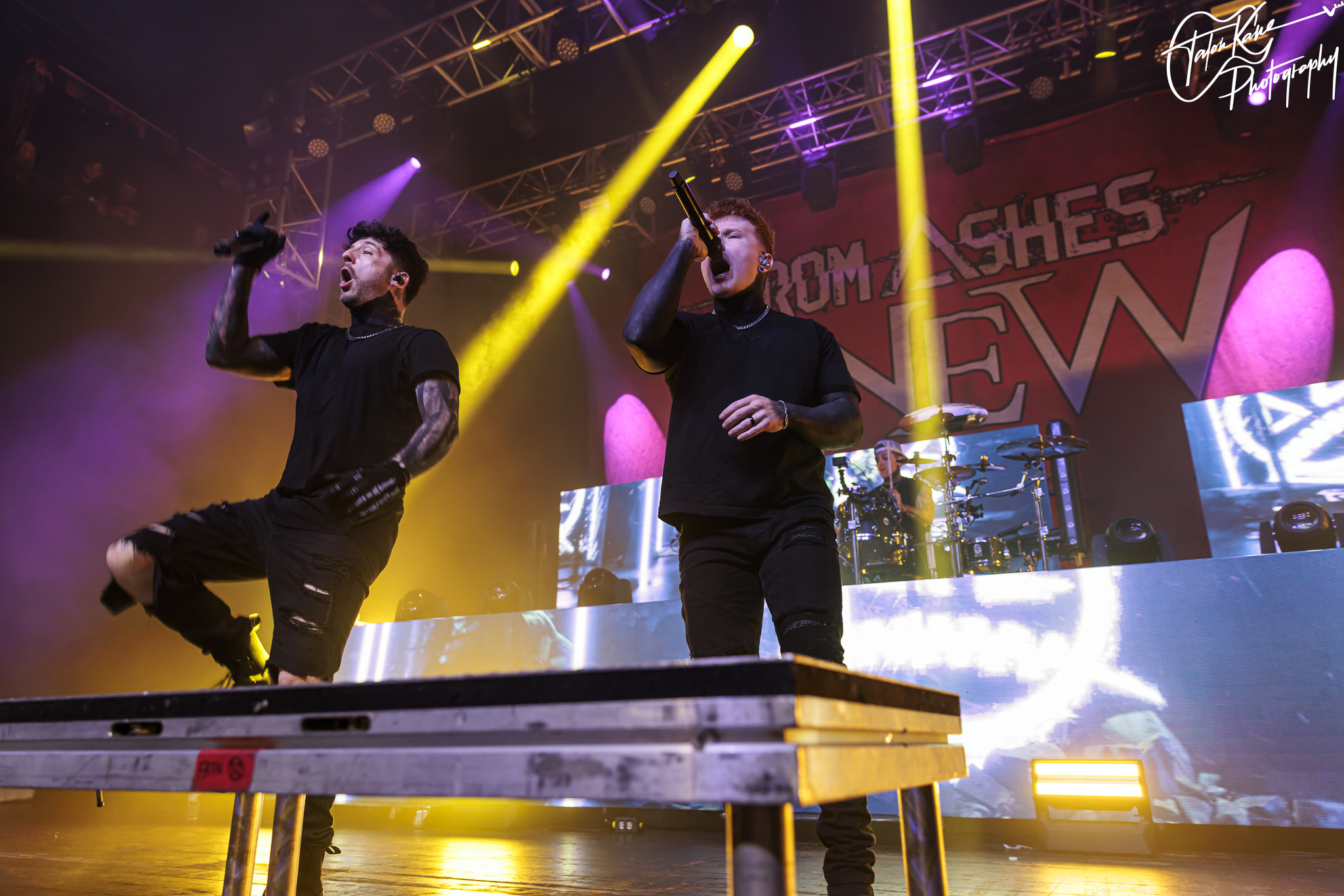 FROM THE PIT TO THE CROWD: THE BLACKOUT TOUR PT. 2 - FROM ASHES TO NEW ...